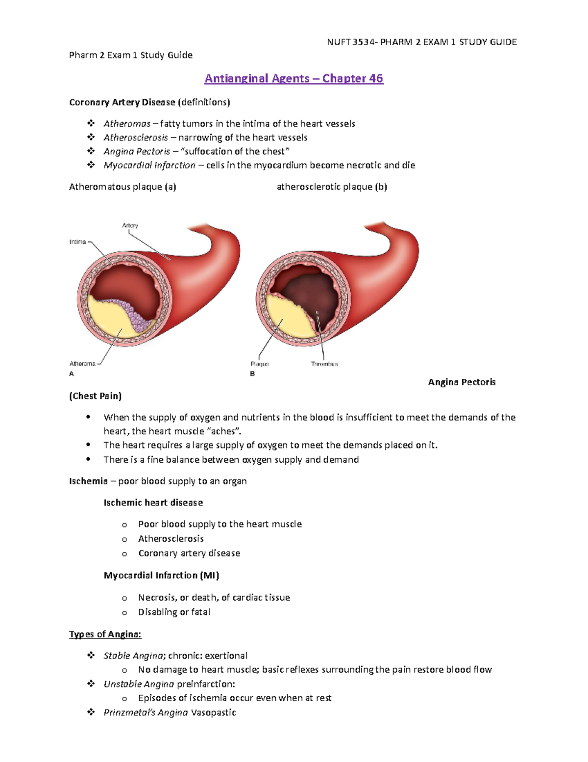 Pharm 2 Exam 1 Study Guide - Edited - Pharm 2 Exam 1 Study Guide ...
