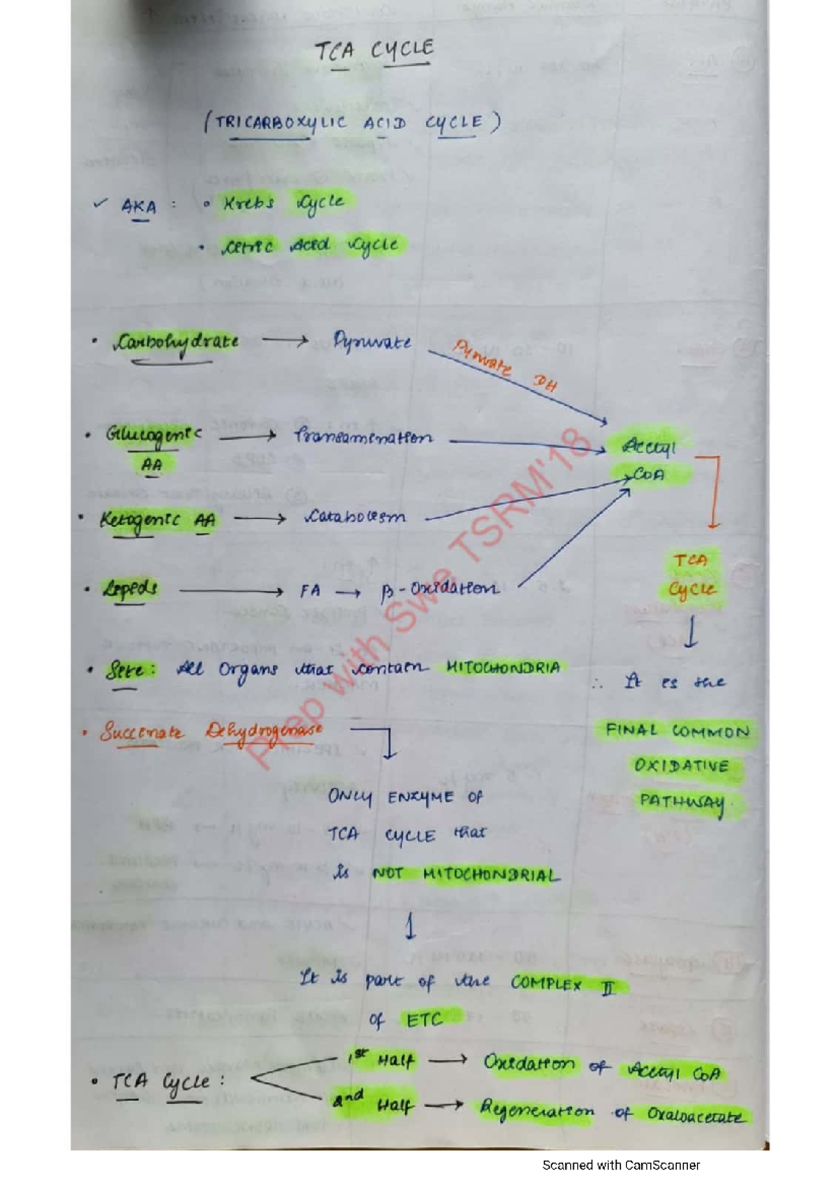 26. TCA Cycle - ETC - TCA - TCA CYCLE TRICARBOXYLIC ACID CYCLE ) AKA ...