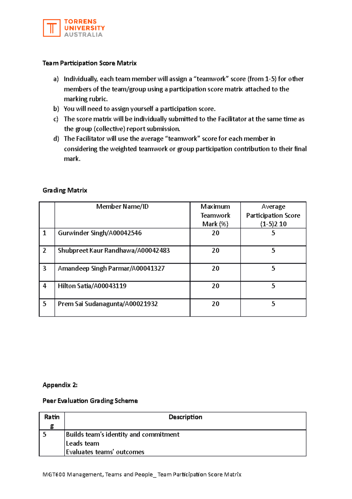 MGT600 Team Participation Score Matrix - Team Participation Score ...
