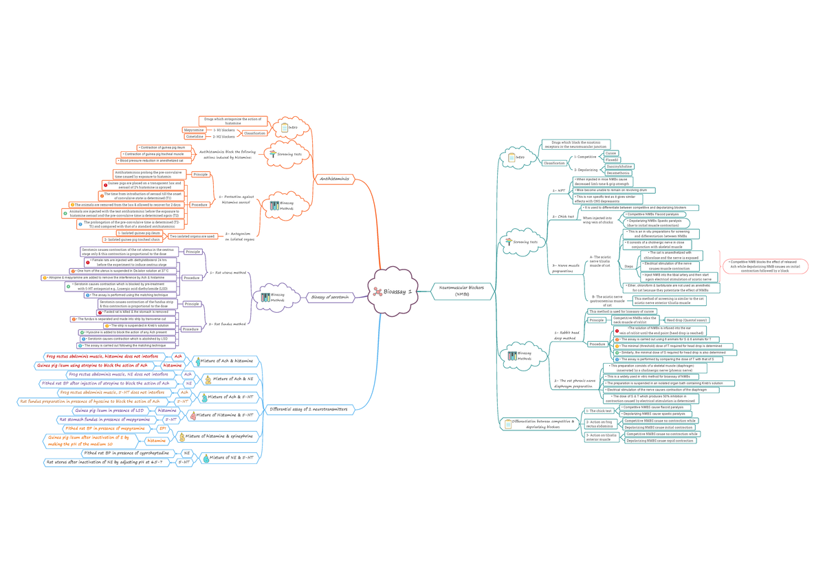 Neurotransmitters 1 mind map - Bioassay 1 Intro Drugs which block the ...