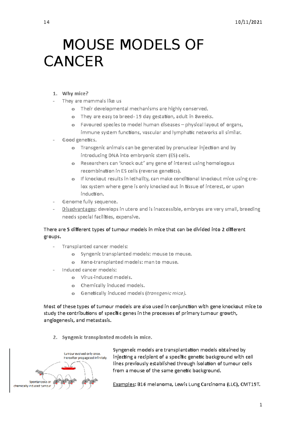 Mouse models of cancer - MOUSE MODELS OF CANCER 1. Why mice? - They are ...