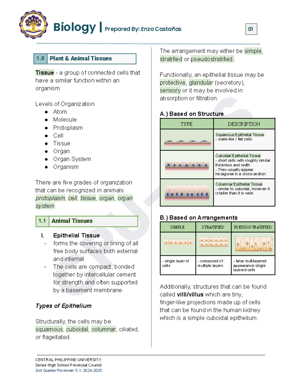 Biology - notes - CPU-SHS Tissue - a group of connected cells that have ...