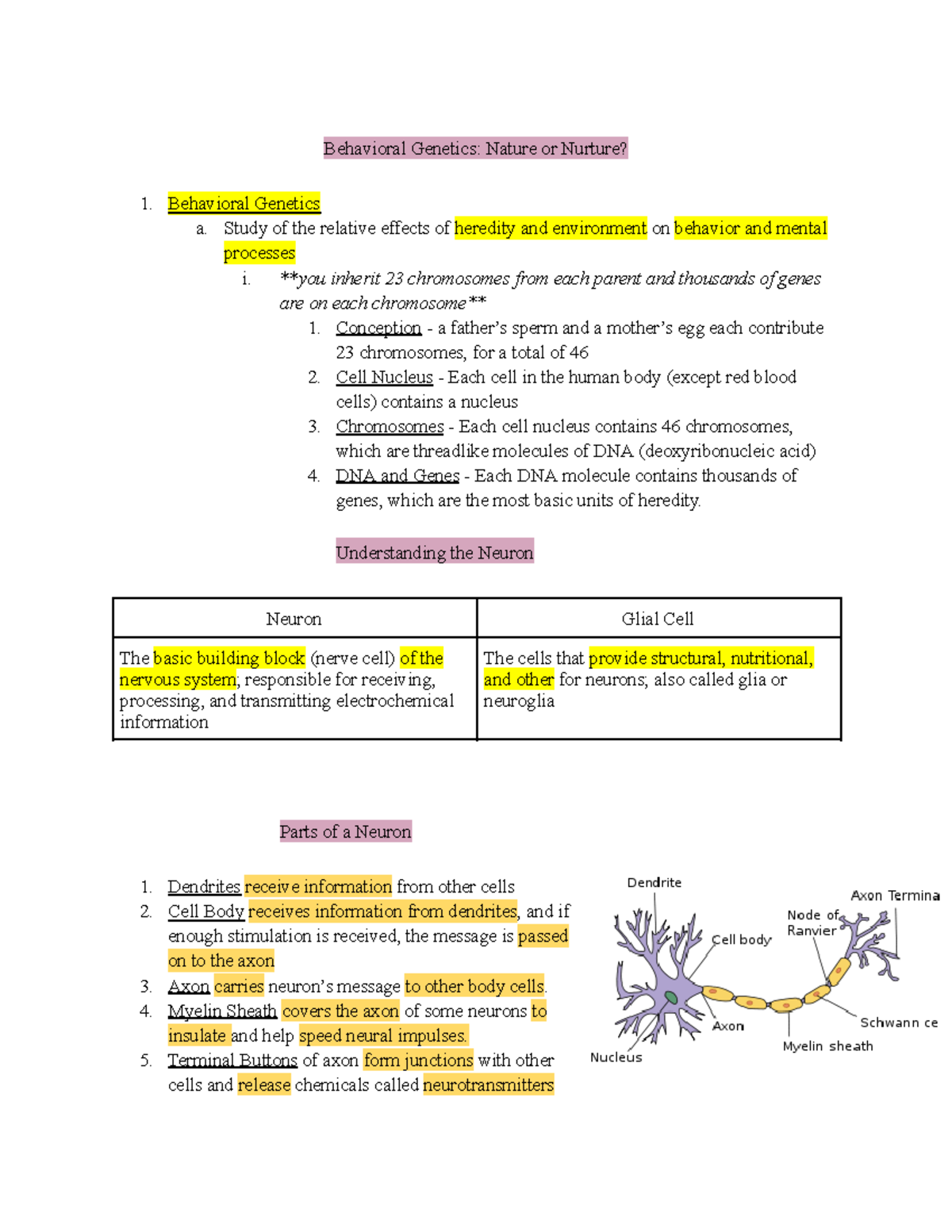Ch. 2 - Neuroscience and Biological Foundations - Behavioral Genetics ...