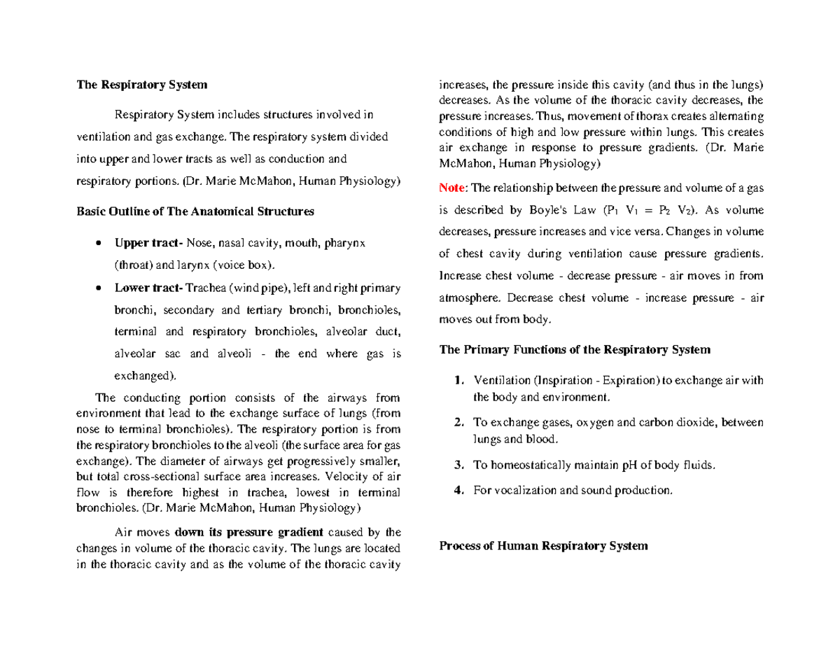 The-Respiratory-System - The Respiratory System Respiratory System ...