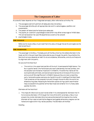 Lesson Plan FOR Neuron - Lecture notes - Why dread a bump on the head ...