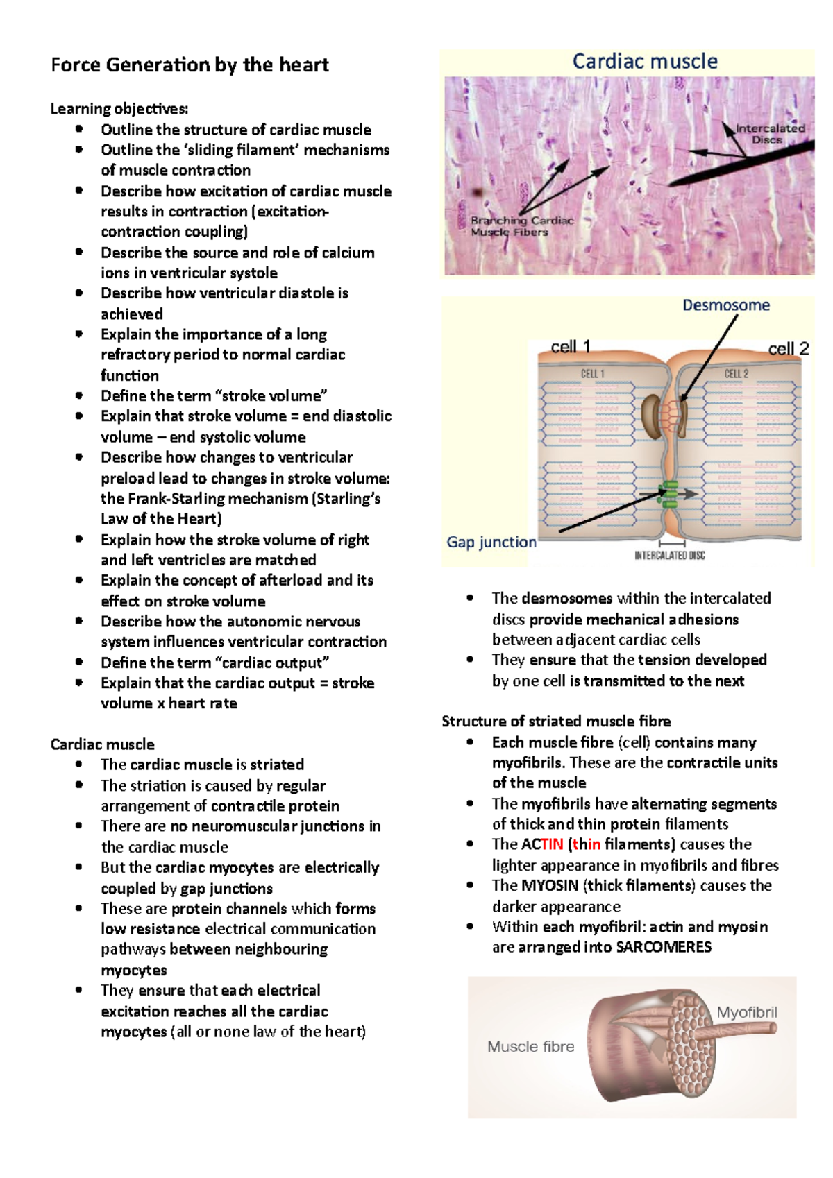 Force Generation by the heart - Force Generation by the heart Learning ...