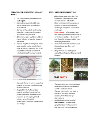 Group IIB Elements - Inorganic Chemistry - GROUP IIB ELEMENTS (12 ...