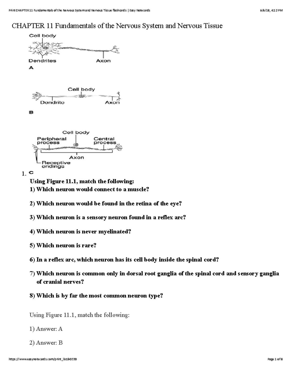 Chapter 11 Fundamentals of the Nervous System and Nervous Tissue ...