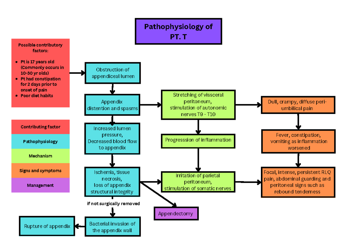 Pathophysiology of appendicitis - Possible contributory factors: Pt is ...