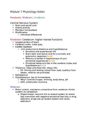 Physiology Module 10 - Muscle System A single muscle cell: muscle fiber ...