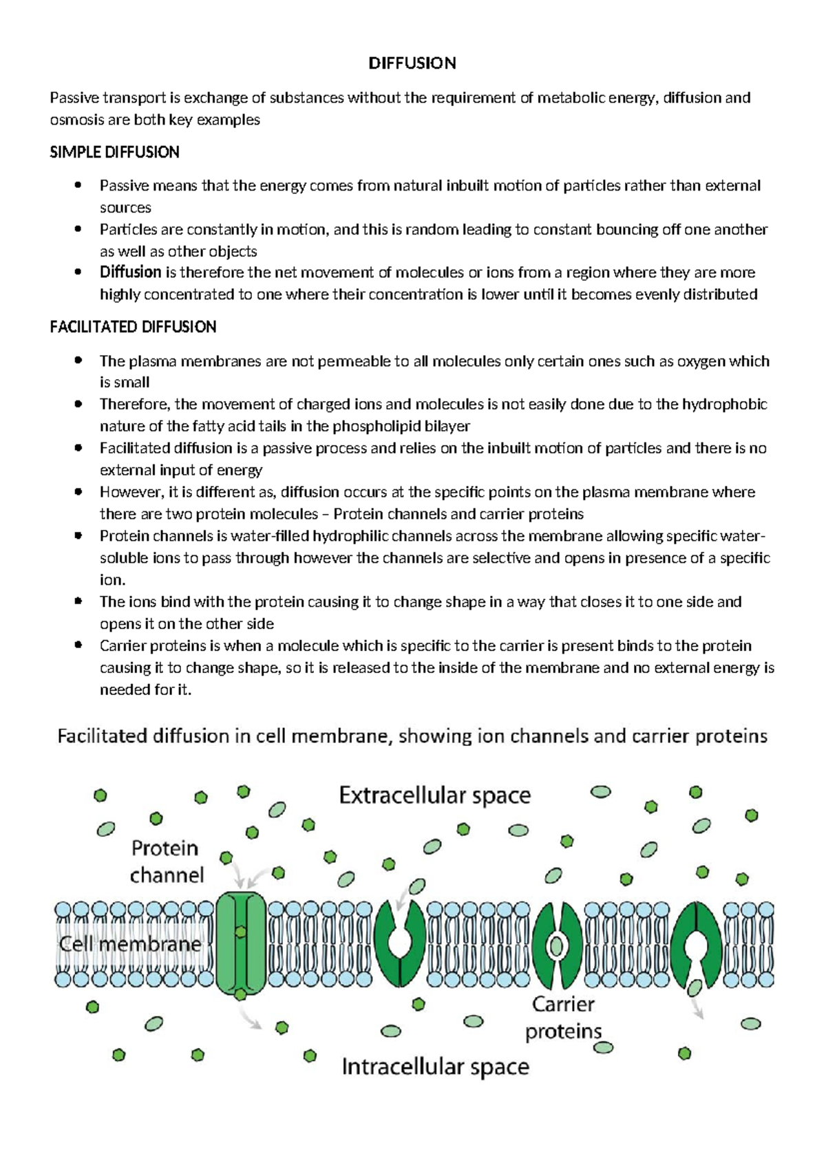 Diffusion - summary notes - DIFFUSION Passive transport is exchange of ...