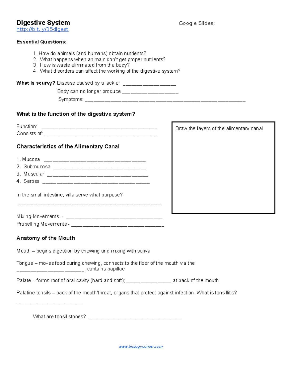 Digestive System Notes - Digestive System Google Slides: bit/15digest ...