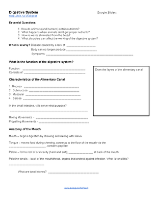 Final Test on Urinary System - MULTIPLE-CHOICE QUESTIONS FOR FINAL EXAM ...