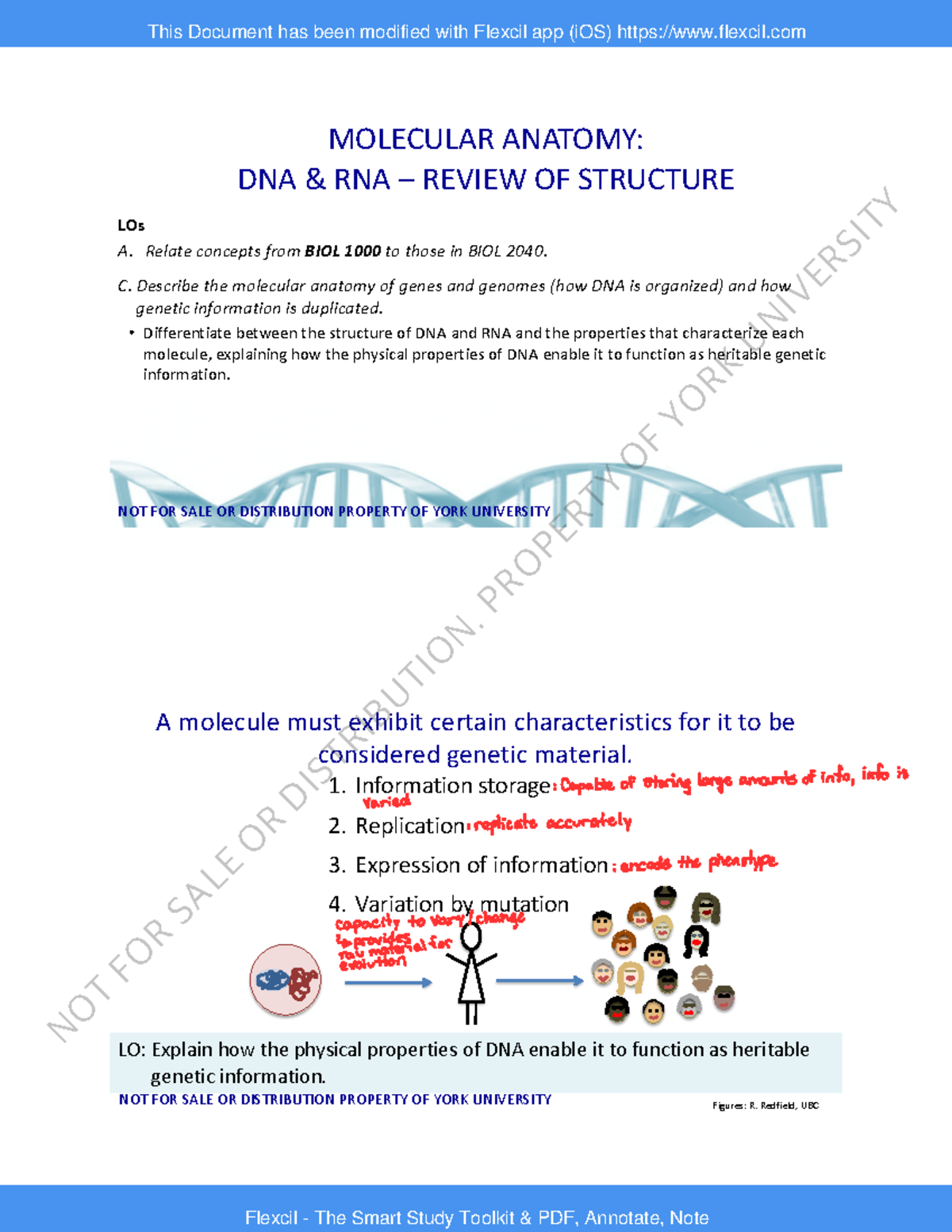 Review Lesson #1 Molecular Anatomy Review - DNA & RNA - LOs A. Relate ...