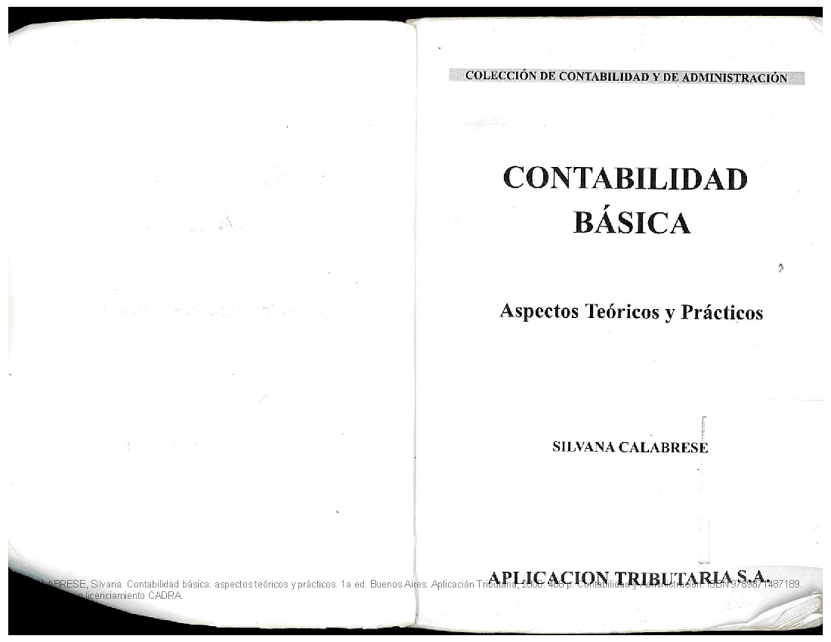 Contabilidad básica. Principales rubros contables - Studocu