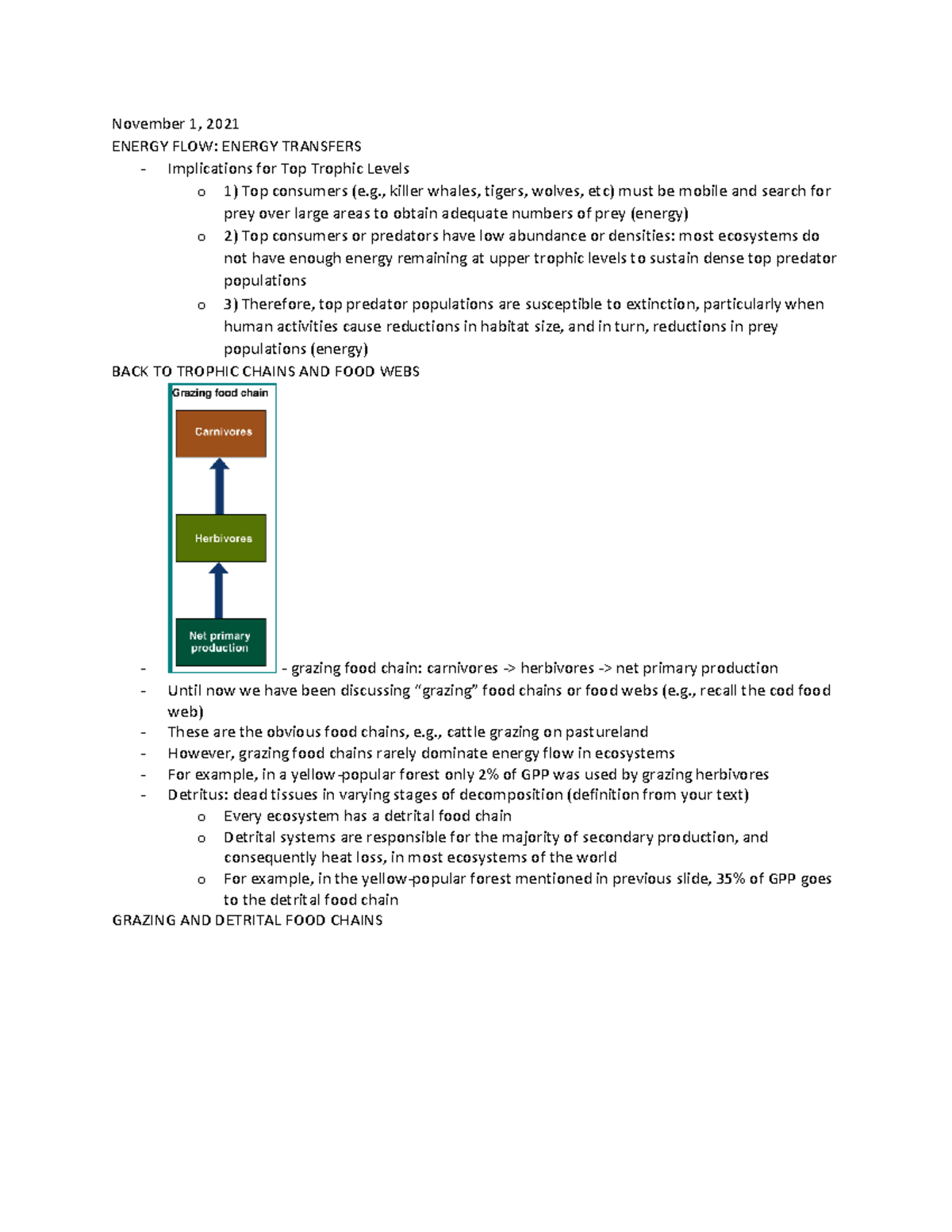November 1 - energy flow/transfers, trophic chains and food webs ...