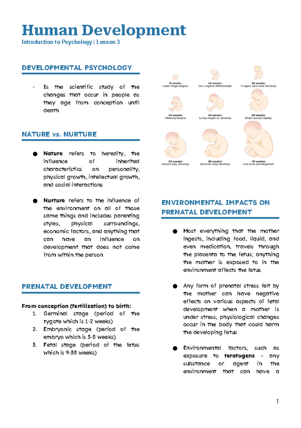 Human Development - Intro to Psych - Human Development Introduction to ...
