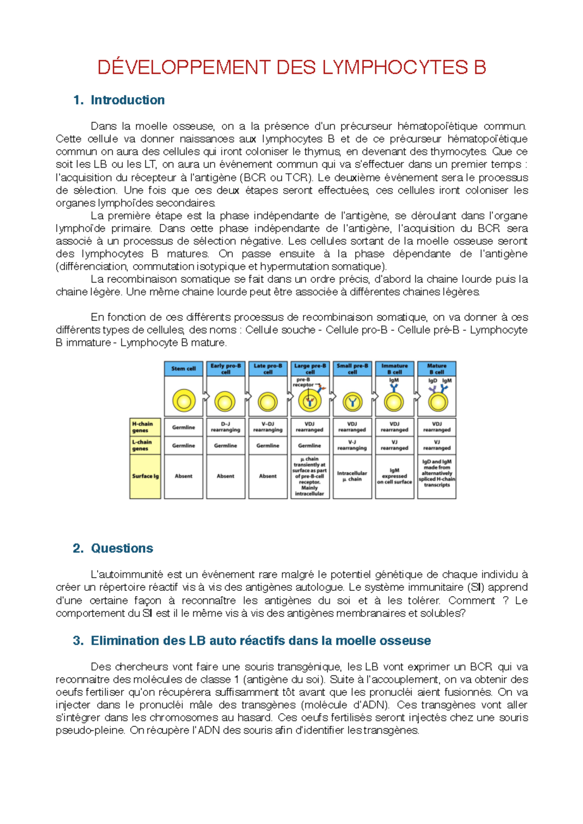 Développement des LB - DÉVELOPPEMENT DES LYMPHOCYTES B 1. Introduction ...