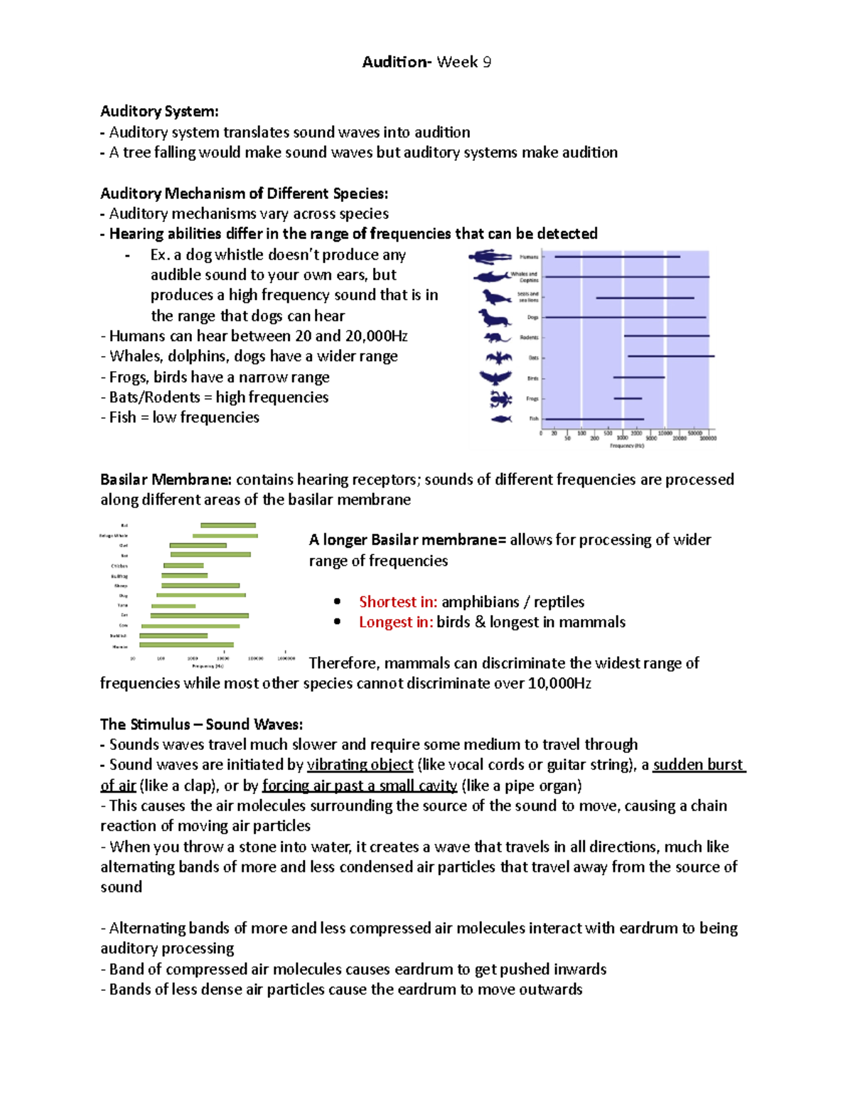 Audition- Psychology Lecture notes - 1X03 - McMaster - Studocu
