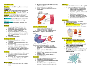 AP Computer Science Principles Unit 2 Notes - Claudia Consiglio Mr ...