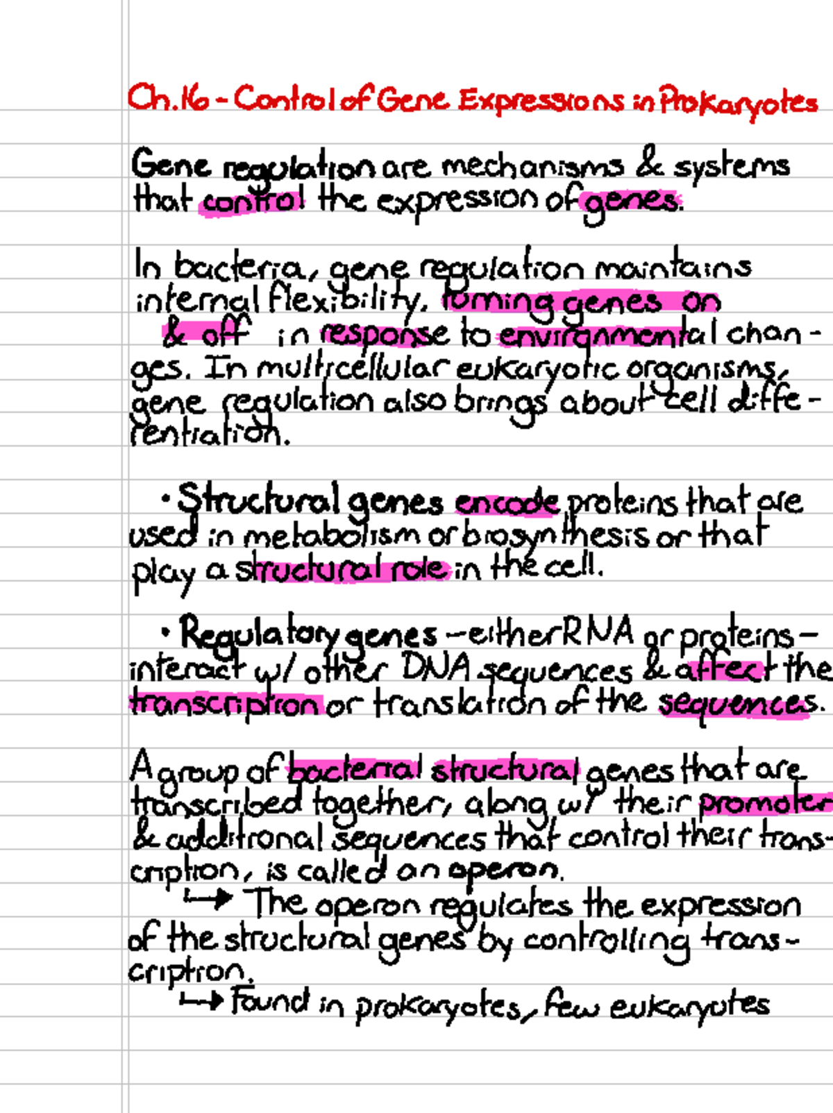 Ch. 16 - Control of Gene Expression in Eukaryotes - BIO 2306 - Baylor ...
