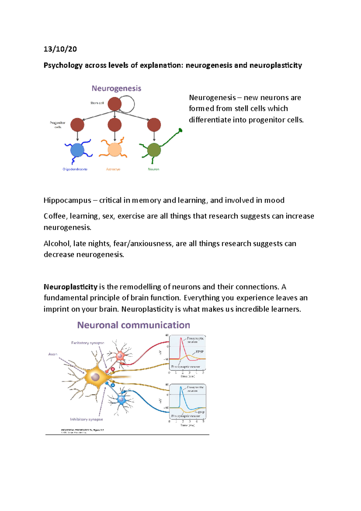 Neurogenesis and neuroplasticity 13 - 13/10/ Psychology across levels ...