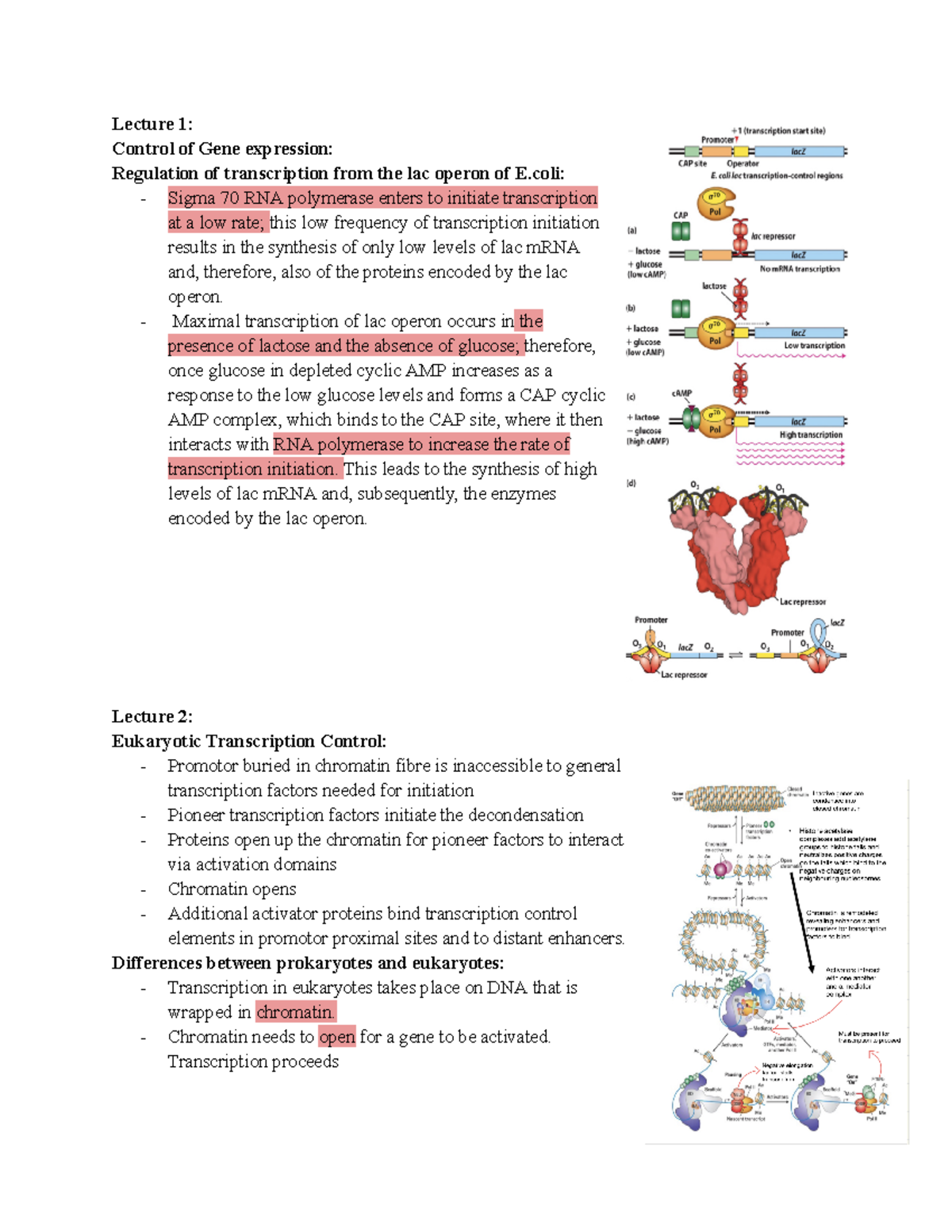 MCB Notes - Lecture 1: Control of Gene expression: Regulation of ...