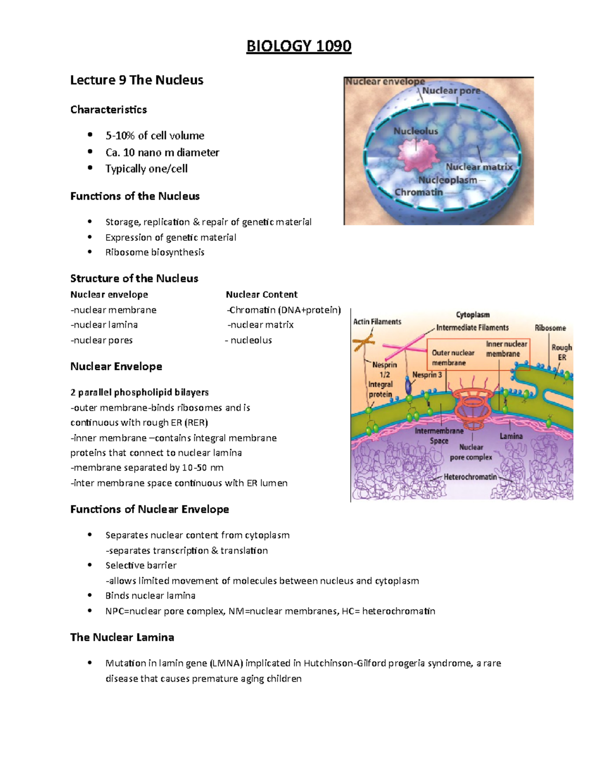 Part 2 Lecture 9 The Nucleus - BIOLOGY 1090 Lecture 9 The Nucleus ...