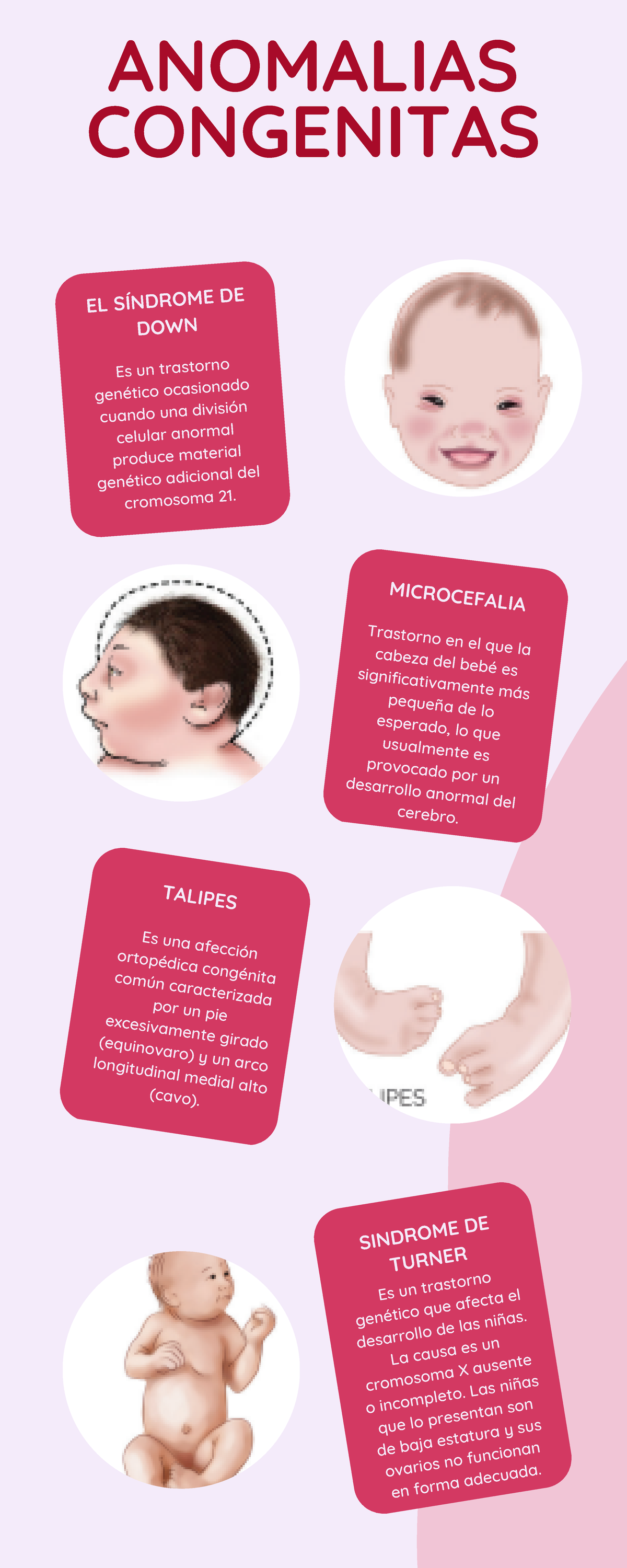 Anomalias congenitas - Las anomalías congénitas constituyen un tema de ...