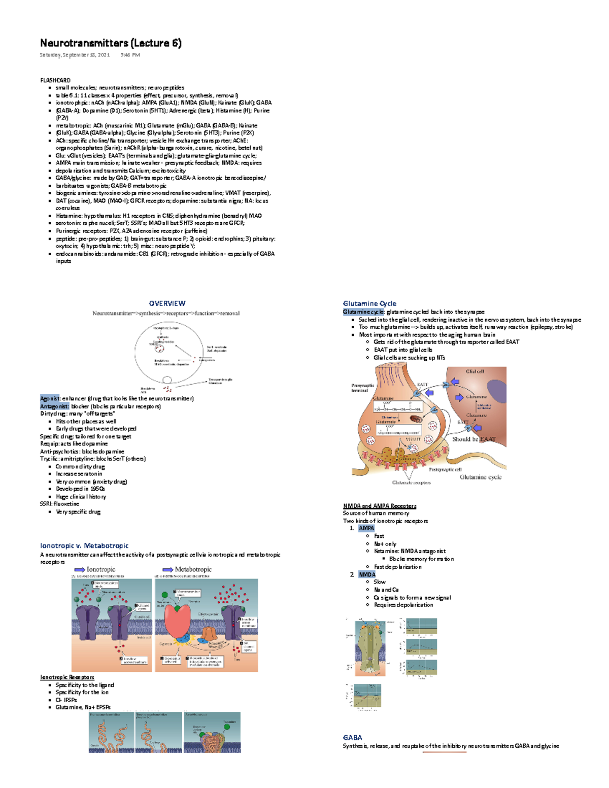 BIOL 3050 Neurotransmitters - FLASHCARD small molecules ...