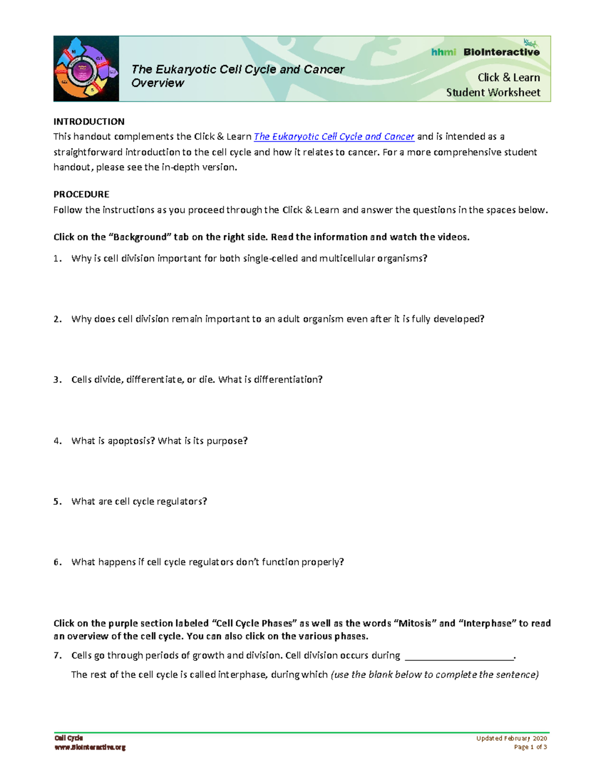 Cell Cycle Overview-Student WS-CL - Click & Learn Student Worksheet The ...