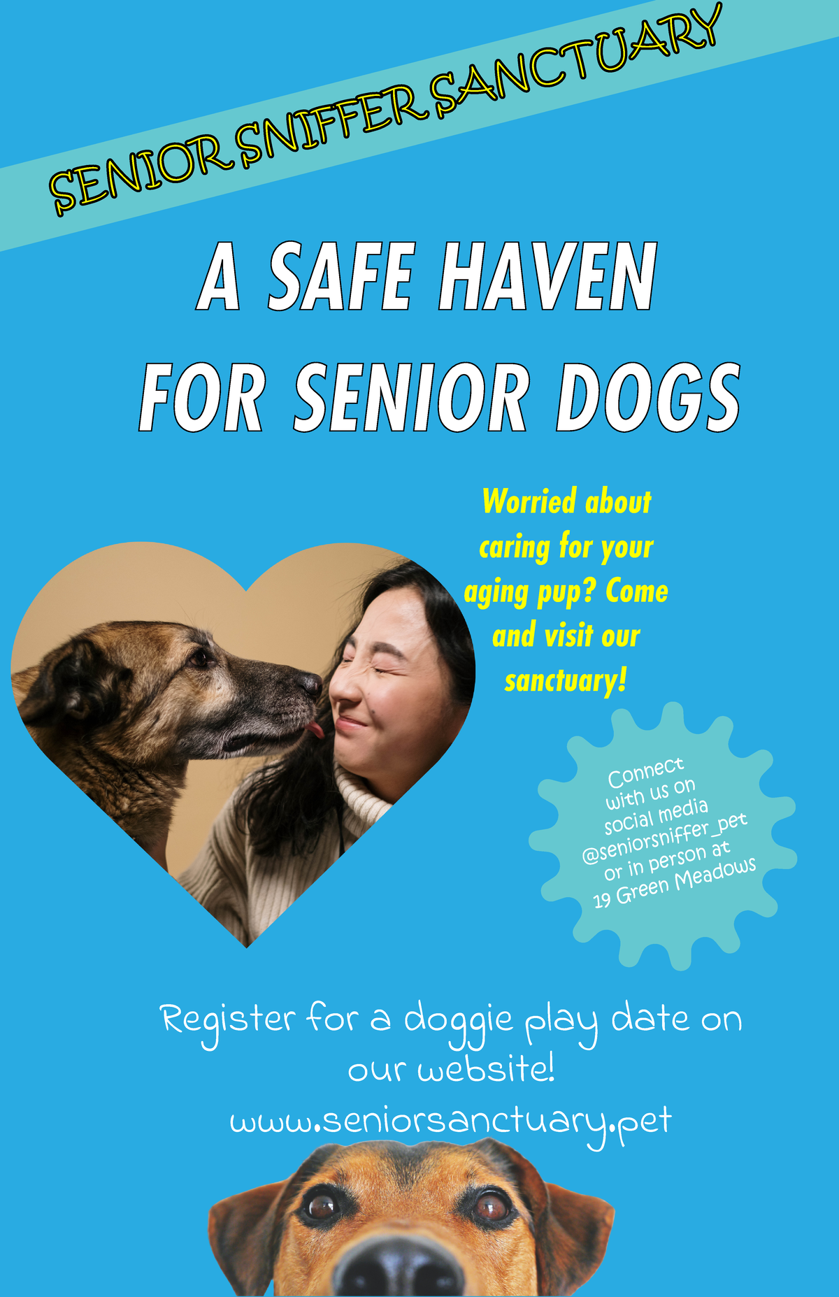 5-2 Black & White Poster - GRA 205 - Worried about caring for your ...