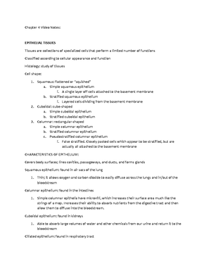 Week 7 reflection - Describe the structural and functional ...