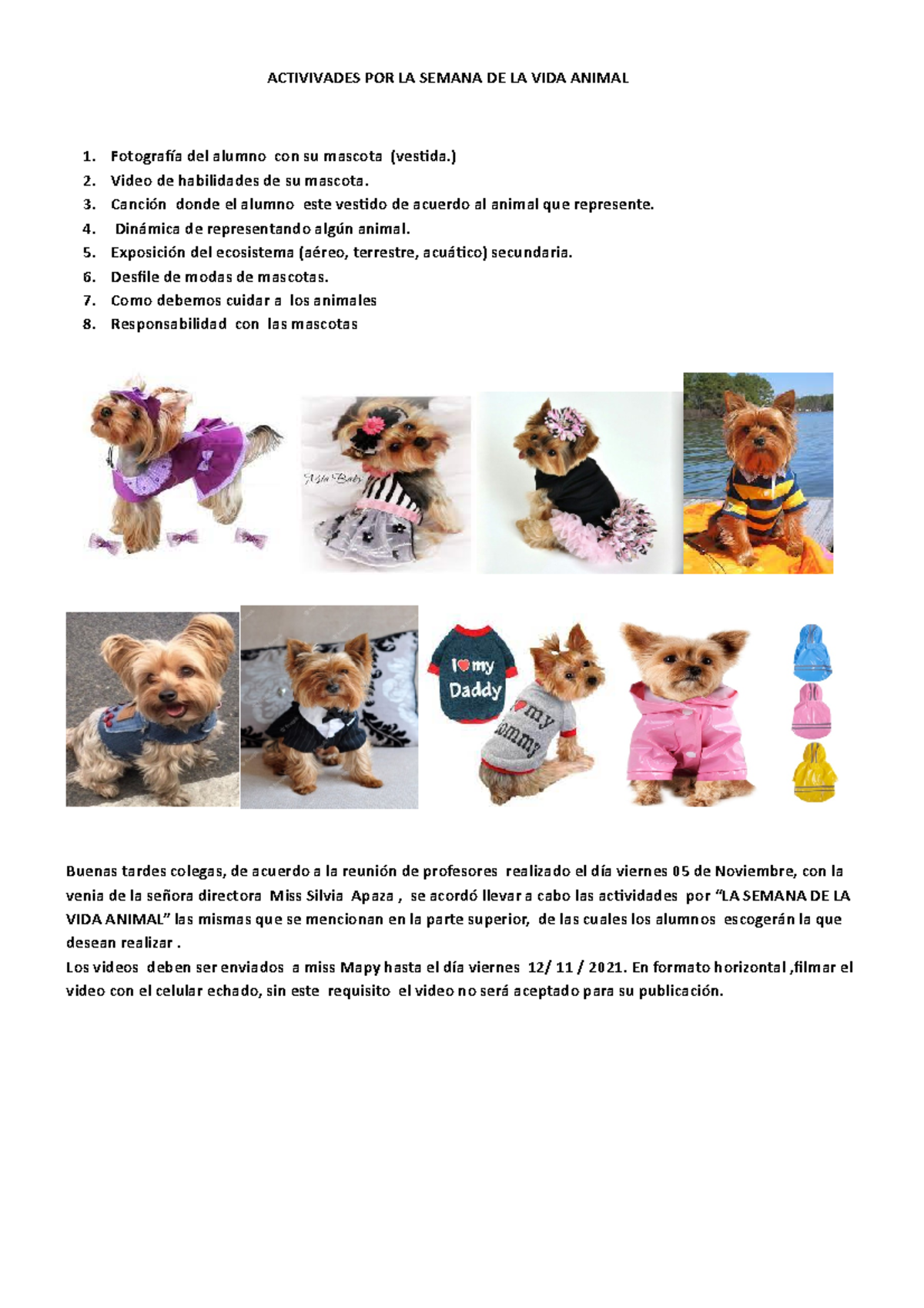 Propuesta DE Activivades POR LA Semana DE LA VIDA Animal - ACTIVIVADES ...