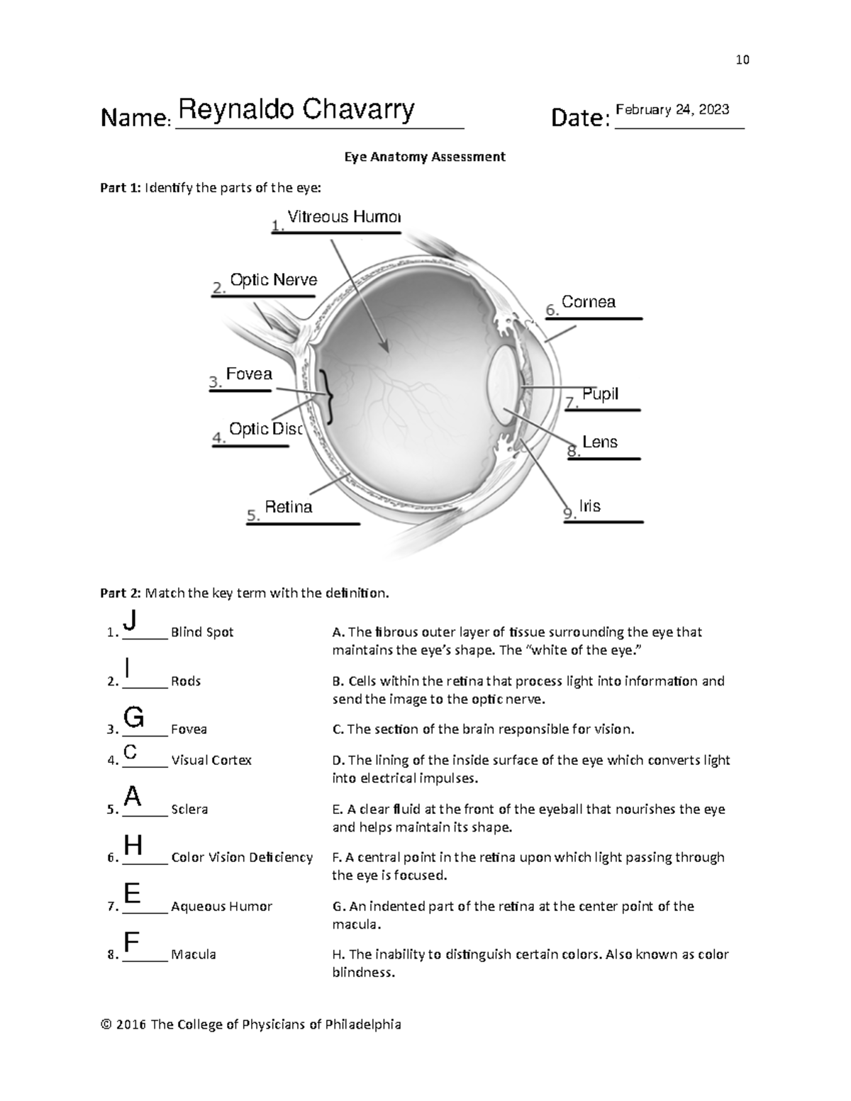 Eye Anatomy Assesment - A worksheet given to be filled out accurately ...