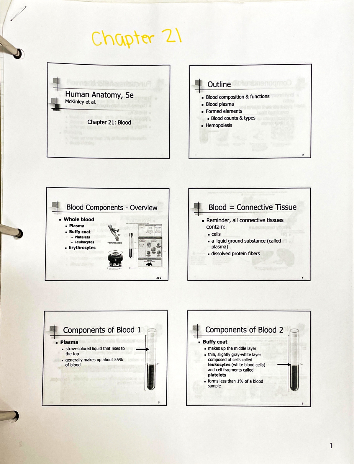 Anatomy ch. 21-22 WDYL answers - BIOL 129 - Studocu