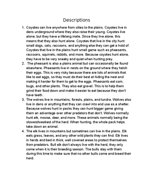 Small Gnawing Mammals - Anatomy - Small Gnawing Mammals Directions ...