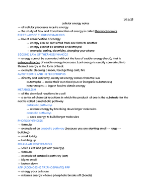 Characteristic of Living Things Study Guide - Cellular respiration ...