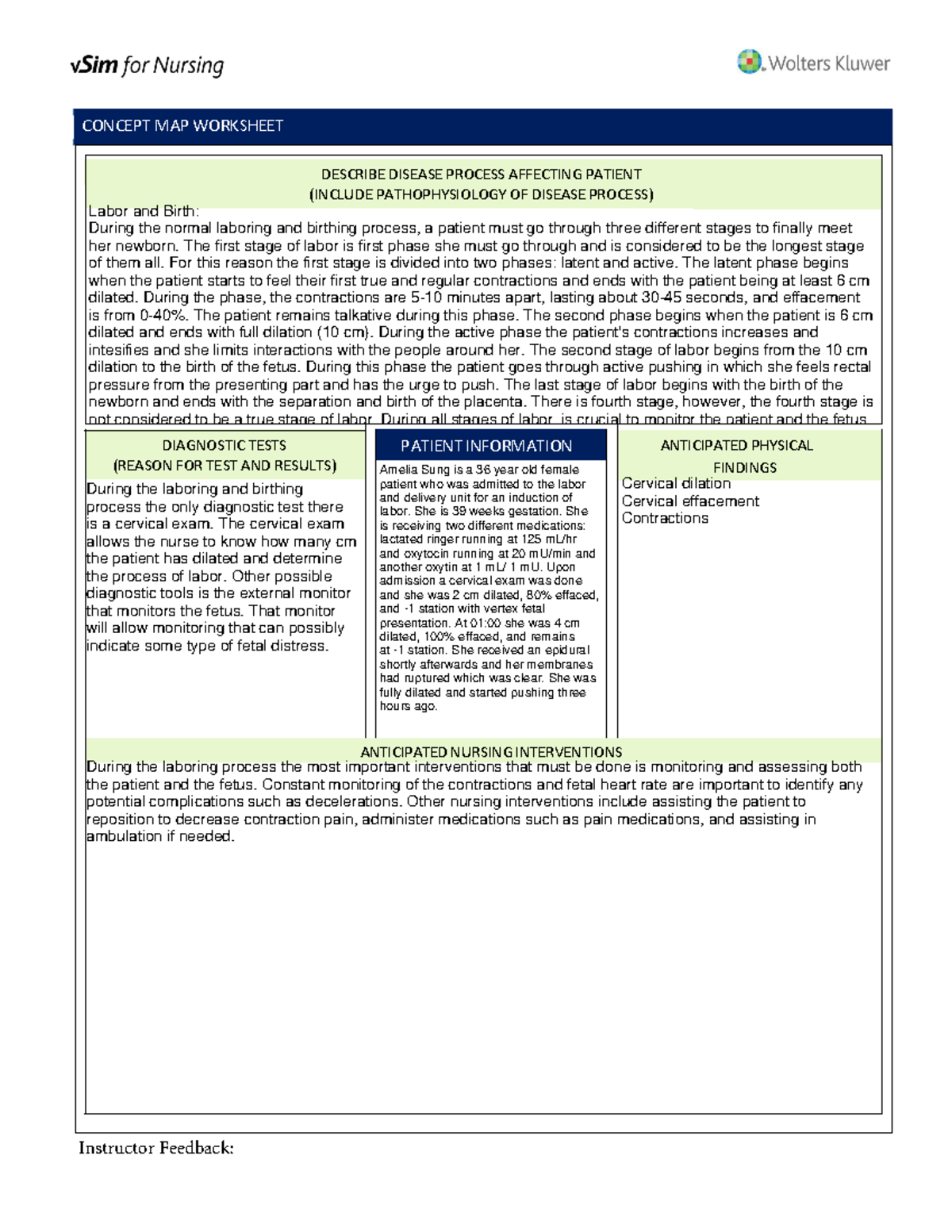 Labor and Delivery Amelia Sung vSim - CONCEPT MAP WORKSHEET ...