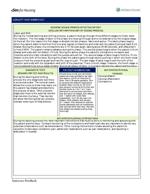 Jackson Weber VSIM - Clinical assignment - CONCEPT MAP WORKSHEET ...