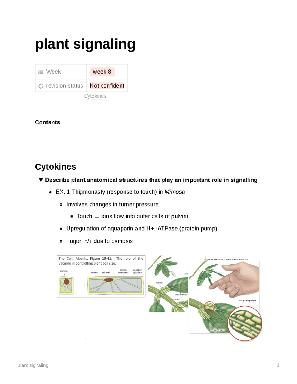 Plant signaling 9dd38cbebfc 744f281a5da005b411f62 - BS21002 - Dundee ...