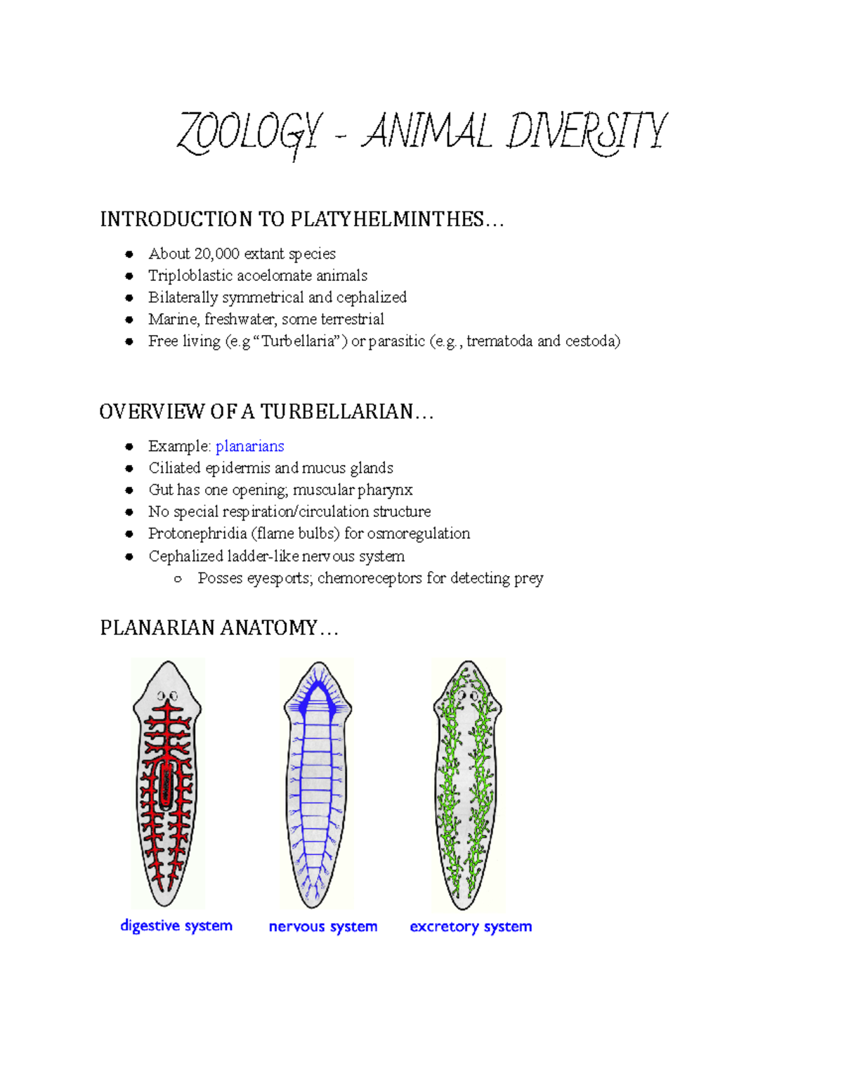 Zoology Notes part 19 - ZOOLOGY - ANIMAL DIVERSITY INTRODUCTION TO ...