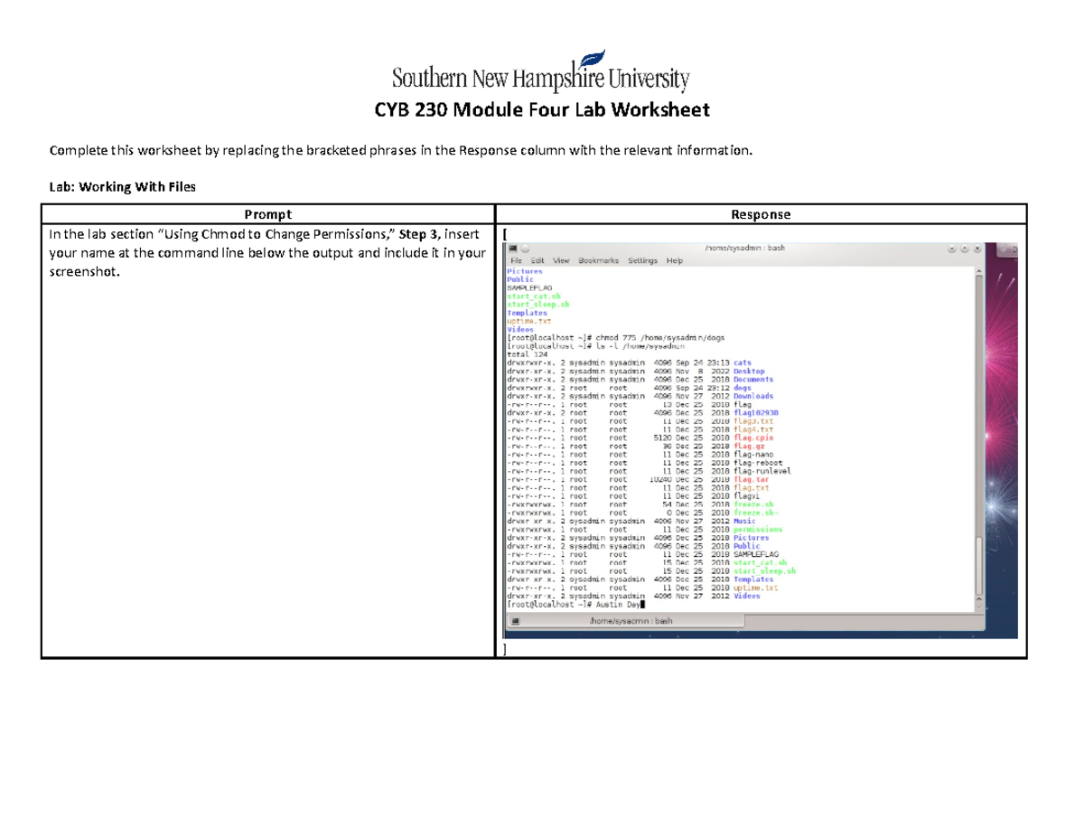 CYB 230 Module Four Lab Austin Day - CYB 230 Module Four Lab Worksheet ...