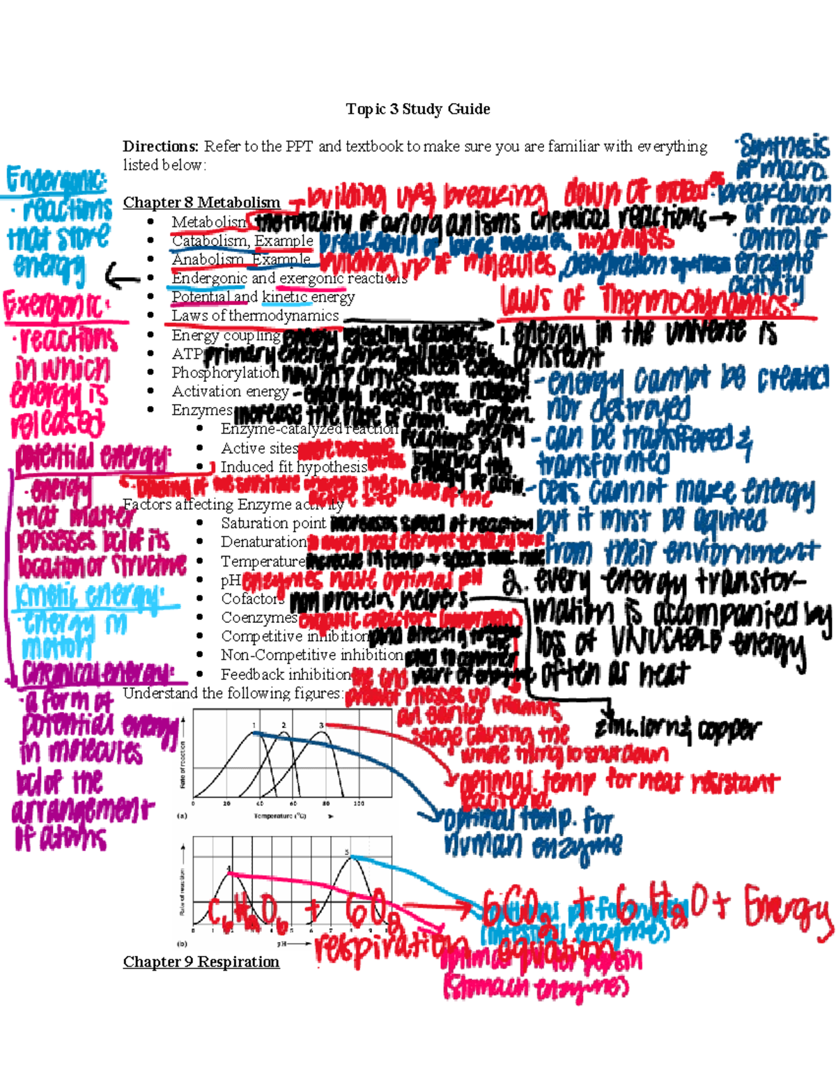 Topic 3- Study Guide - Topic 3 Study Guide Directions: Refer to the PPT ...