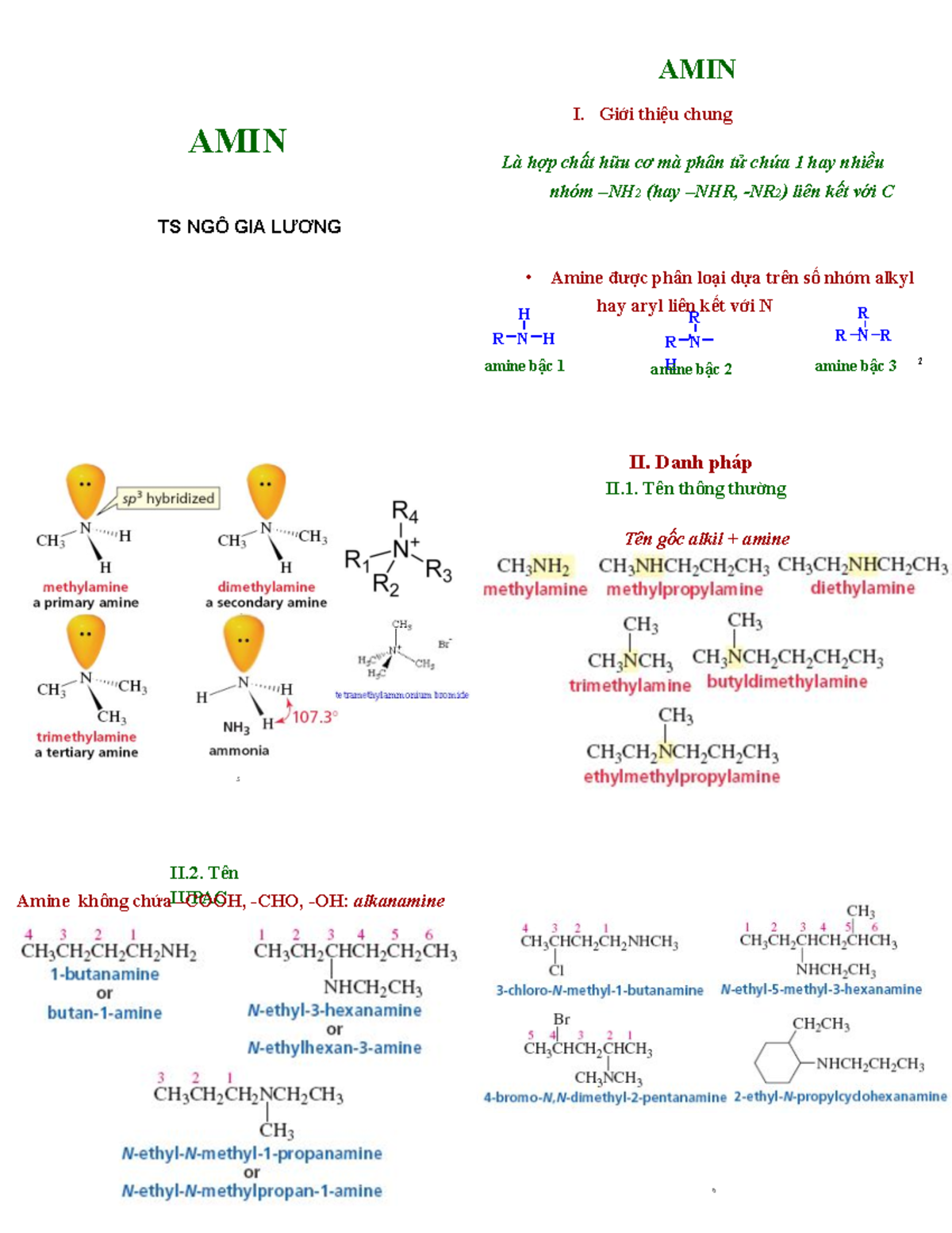 AMIN Y1RHM1Duoc1 - 1234 - AMIN TS NGÔ GIA LƯƠNG 2 AMIN I. Giới thiệu ...