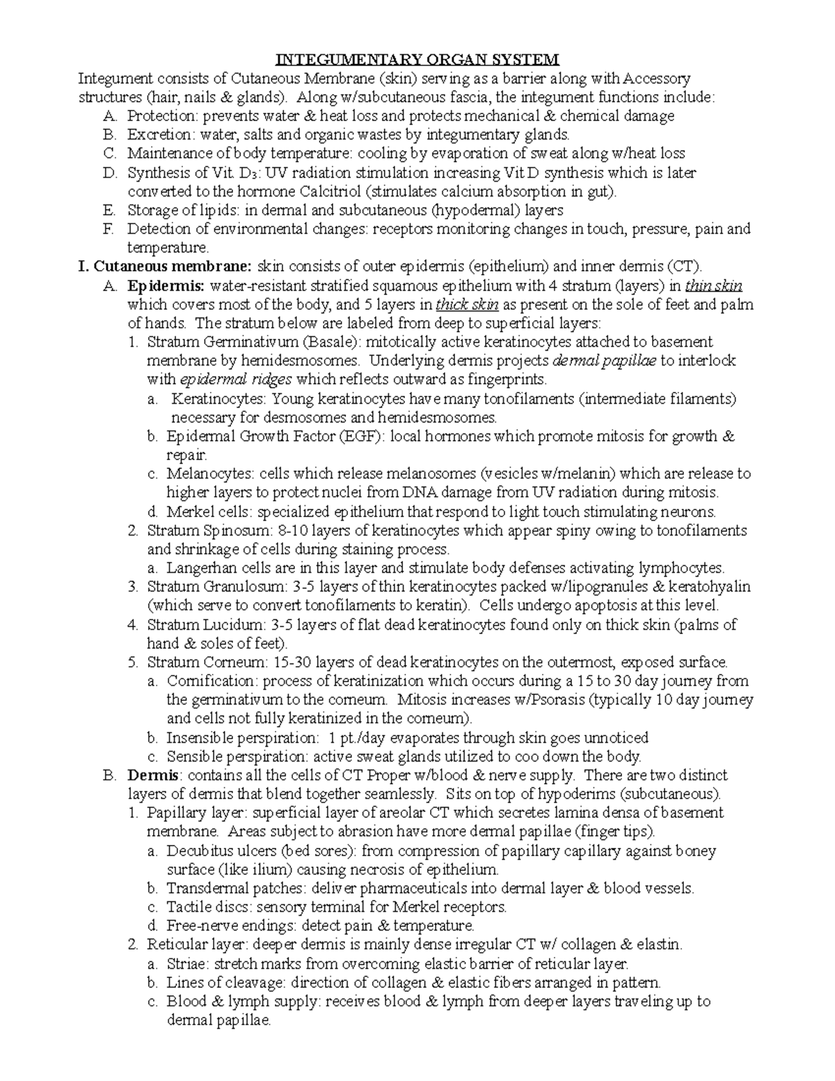 Integumentary Organ System outline - INTEGUMENTARY ORGAN SYSTEM ...