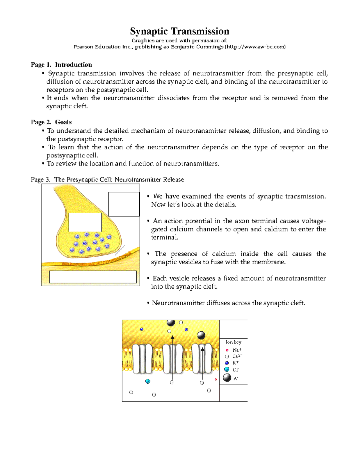 Nervous System: Synaptic Transmission Part 1 - Synaptic Transmission ...