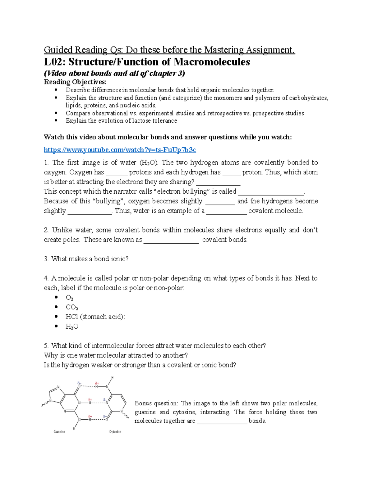 Lesson++2 GRQs Structure+and+Function+of+Macromolecules - Guided ...