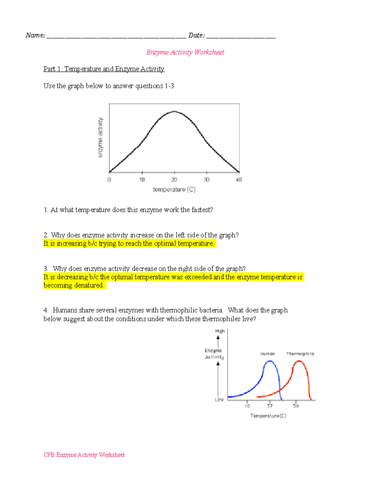CPA Enzyme Activity Worksheet 2019-2020 - Name