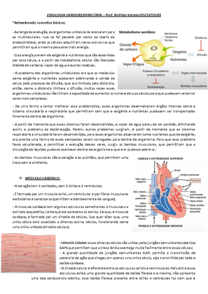 DAOP - Doença arterial obstrutiva periferica. - DOENÇA ARTERIAL ...